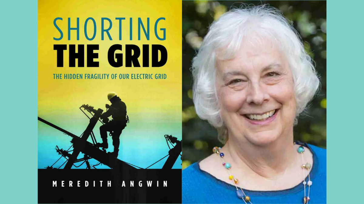 Q&A with Meredith Angwin, author of Shorting the Grid: The Hidden ...